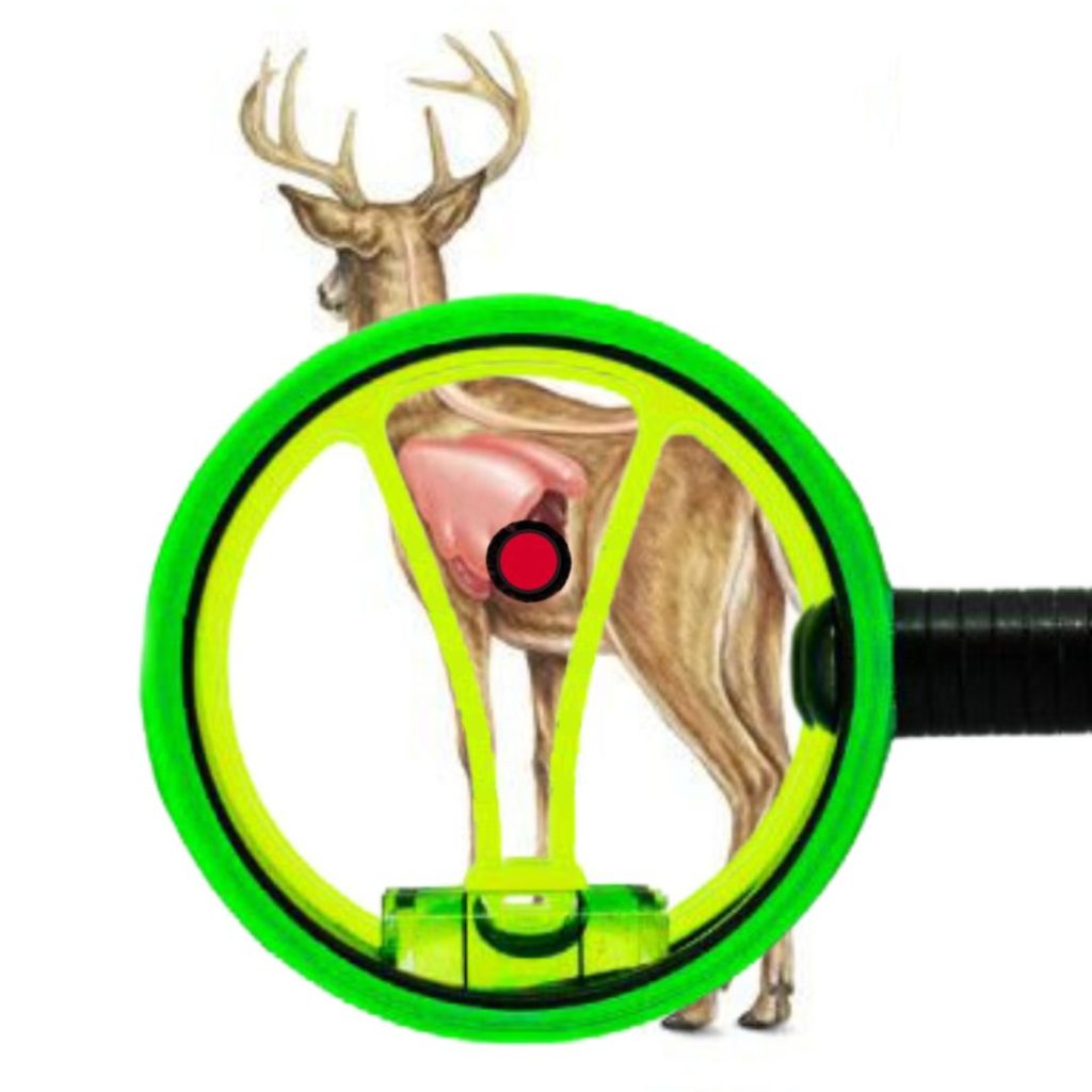 How To Frame Vitals | EZ V Sight